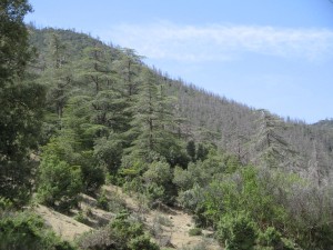 145 travailleurs en grève de la faim à Khenchela | Algérie1